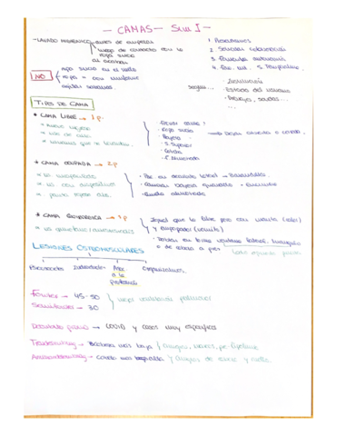 Simulacion-I-CAMAS.pdf