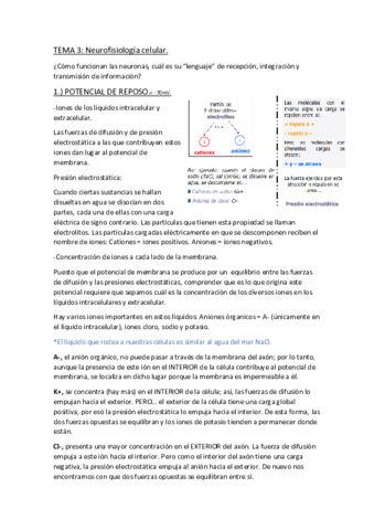 tema-3-fb.pdf
