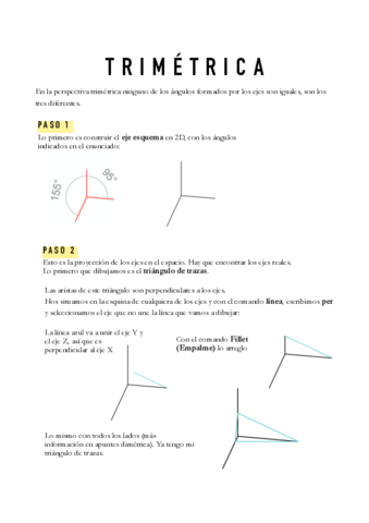 TRIMETRICA.pdf
