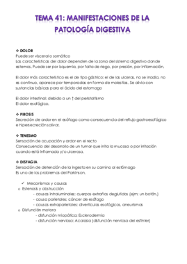 TEMA 41.pdf