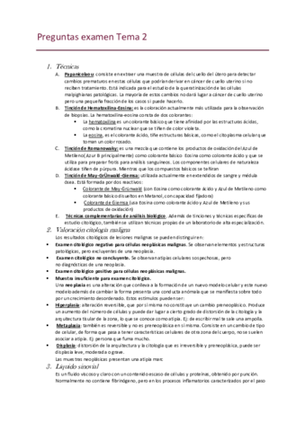 Preguntas-examen-tema-2.pdf