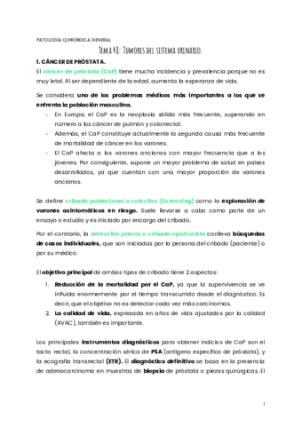 TEMA-41-PQG.pdf