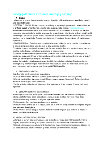 Documento-sin-titulo-3.pdf