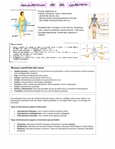 Practiques-anatomia-.pdf