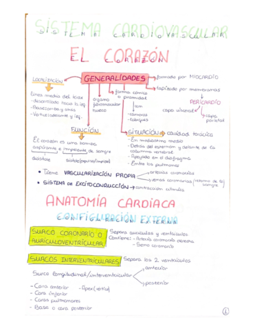 EL-CORAZON.pdf