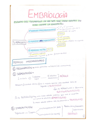 EMBRIOLOGIA.pdf