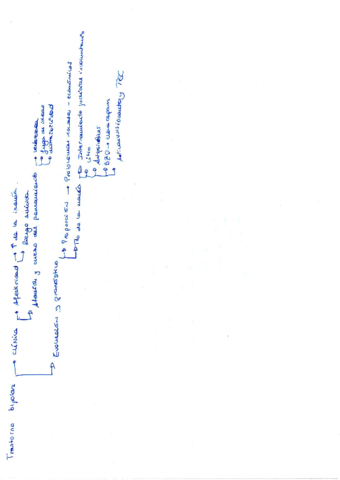 mapa conceptual tema 6 parte 2.pdf