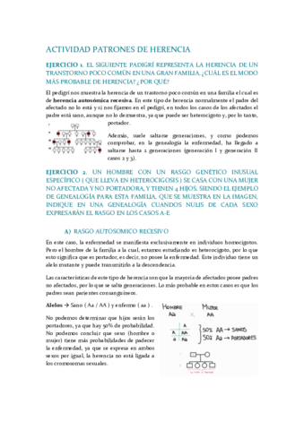 Actividad-Patrones-de-Herencia.pdf