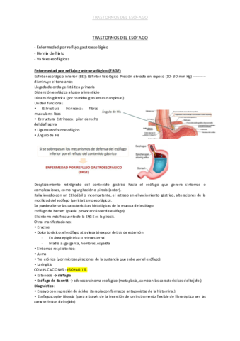 TRASTORNOS-DEL-ESOFAGO.pdf