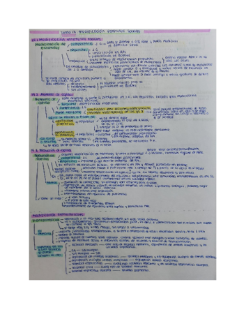 ESQUEMA-TEMA-14-MERCANTIL-I.pdf