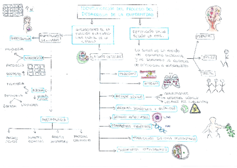 Mapa-conceptual-Fisio-Tema-3.pdf
