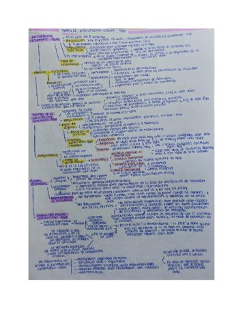 ESQUEMA-TEMA-12-ADMINISTRATIVO-I.pdf