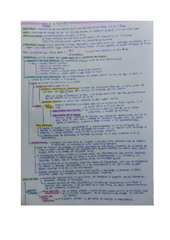 ESQUEMA-TEMA-5-PENAL-I-.pdf