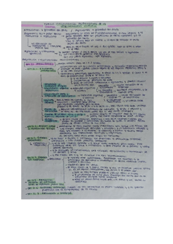 ESQUEMA-TEMA-11-PENAL-I.pdf