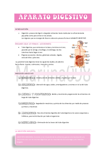 Aparato-digestivo.pdf