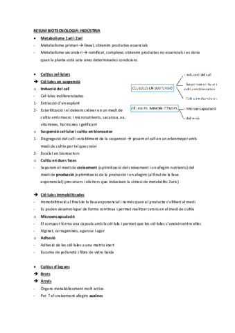 Resum-biotecnologia-industria.pdf