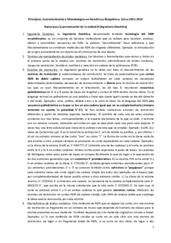 Guion 8.pdf