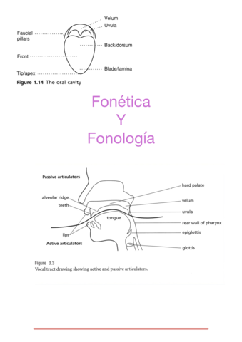 Fonetica-y-fonologia-Dario-Barrera.pdf