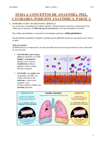 Tema-4-Posicion-anatomica.pdf