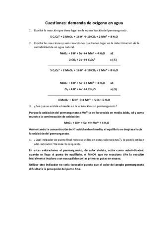 CUESTIONESREDOX.pdf