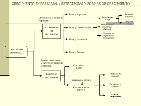 Tema-1-Esquema-crecimiento-empresarial.pdf