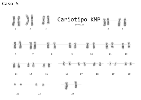 Cariotipos-caso-5.pdf