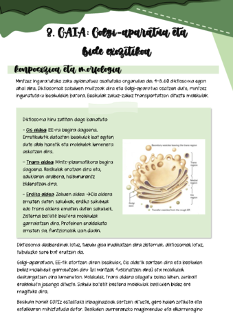 Gaia-8-Golgi-aparatua.pdf