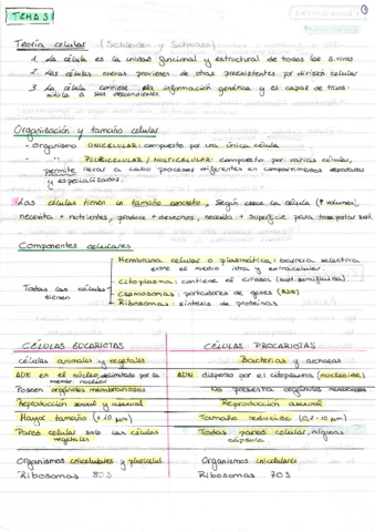 Resumen-TEMA-3-bio.pdf