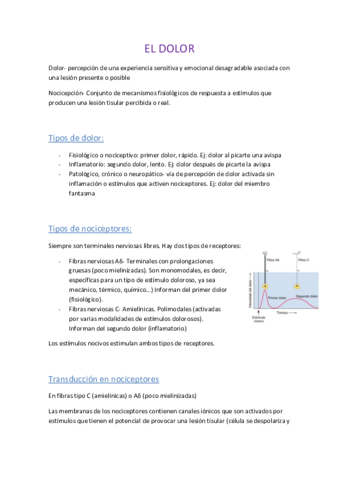 EL-DOLOR.pdf