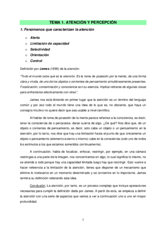 Tema-1-pya-definitivo.pdf