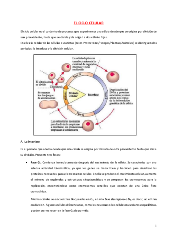 CICLO-CELULAR-Y-DOTAC.pdf