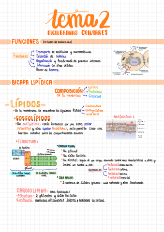 Tema-2-Membranas-Celulares.pdf