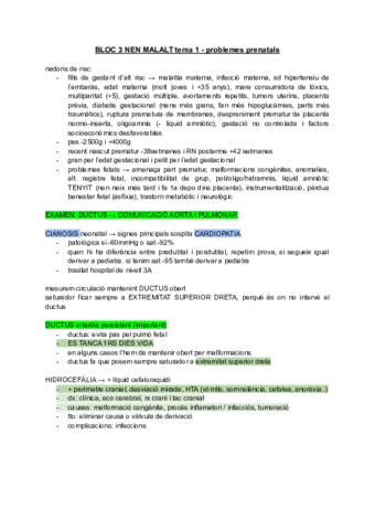 BLOC-3-NEN-MALALT-tema-1-i-2.pdf