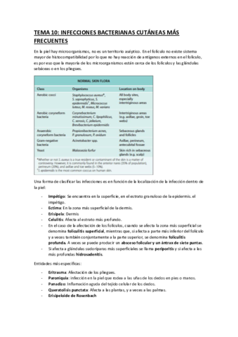 Tema-10-derma.pdf