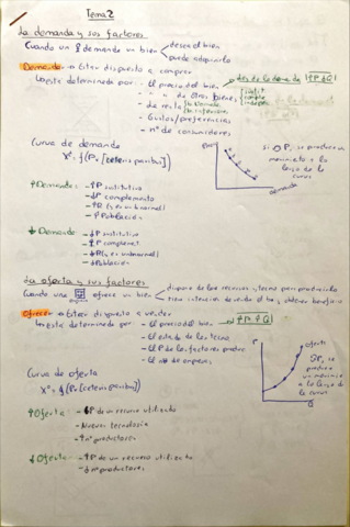 Teoria-Micro-tema-2.pdf