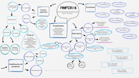 MAPA-MENTAL-PROTEINAS.pdf