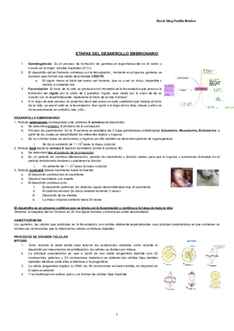 ETAPAS-DEL-DESARROLLO-EMBRIONARIO-Documentos-de-Google.pdf