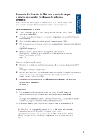 Protocolo-espanol-ABDL.pdf