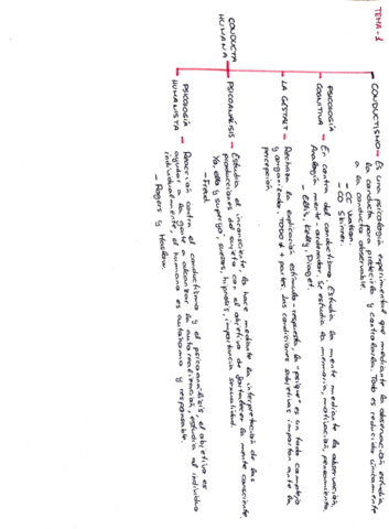 Esquema-1-psico.pdf