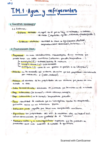 Teoria-Tema-1-Termo.pdf