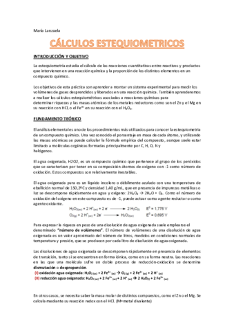 Informe-Calculos-Estequiometricos.pdf