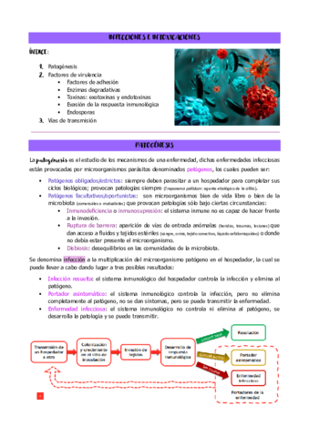 tema-7-microbiologia.pdf