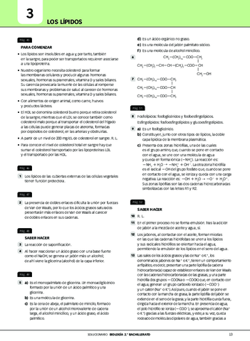 Tema-3-Los-lipidos.pdf