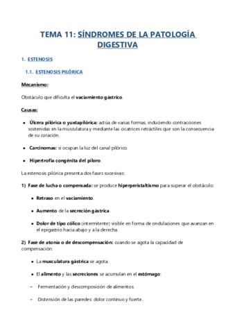 TEMA-11.pdf