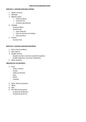 RESUMEN-PRACTICAS-NEUROHISTO.pdf