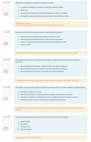 Prueba-de-progreso-1-.pdf