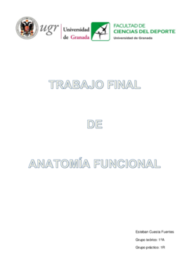 TRABAJO FINAL ANATOMIA ESTEBAN.pdf