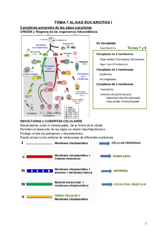 TEMA-7-ALGAS-EUCARIOTAS-I.pdf