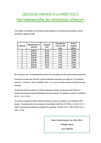 Calculos-previos-practica-1.pdf