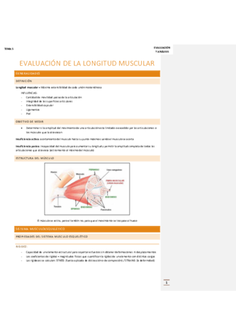 Tema-5a-y-5b-Javier-Evaluacion-y-analisis.pdf